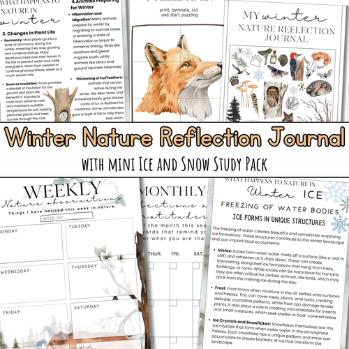 Winter Nature Reflection Journal | Mom Life Uplifted