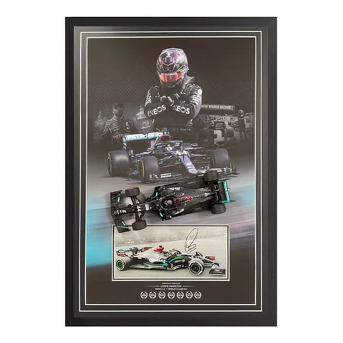 Miniature F1 Formule 1 Mercedes AMG 2020 Minichamps signée Lewis ...