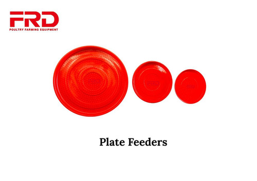 Chick Plate Feeder | Frd Poultry Farming