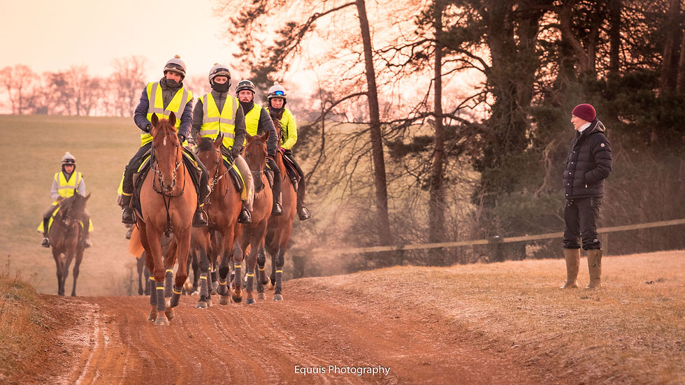 GEORGE SCOTT RACING | BECOME AN OWNER