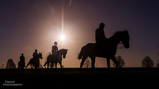 Racehorse Trainer | George Scott Racing | England