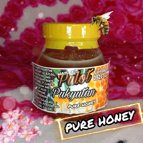 Honey Bee Haydee's Pulot Pukyutan (Pure Honey) | SeanDrei Shopping