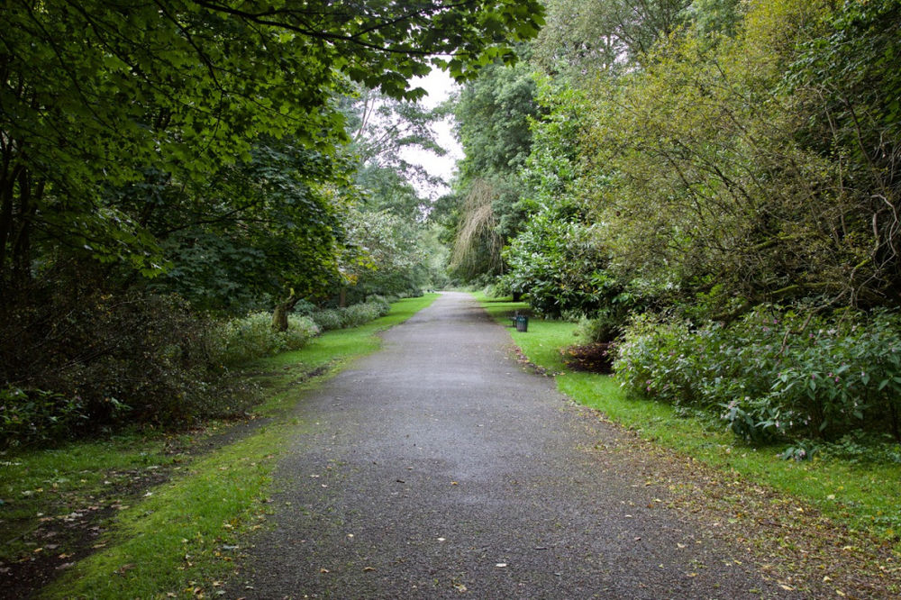 Urban folklore: Boggart Hole Clough