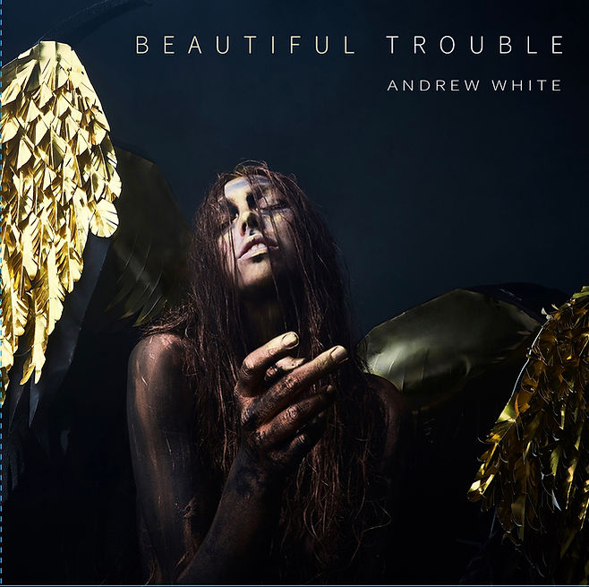 Beautiful Trouble | Andrew White