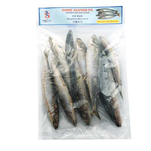 Whole Round Scad | Sunny Seafood