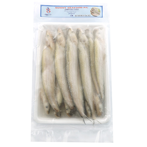 Ompok Fish | Sunny Seafood