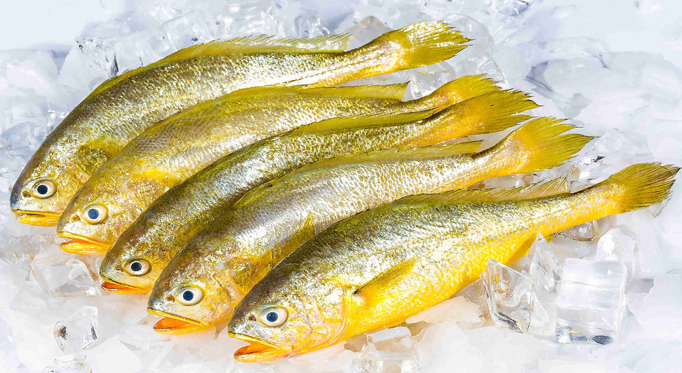 Shop | Sunny Seafood