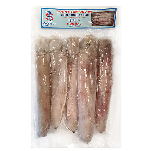 Whole Round Squid (loligo) | Sunny Seafood