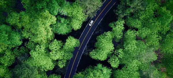 What does rendering mean?