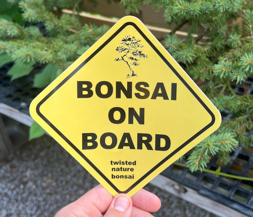Bonsai on Board Sticker | twistednaturebonsai