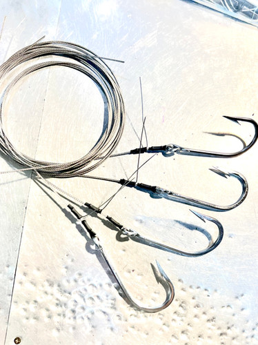 11'' 5ft SS Cable Rig (X1) | Need A Strip