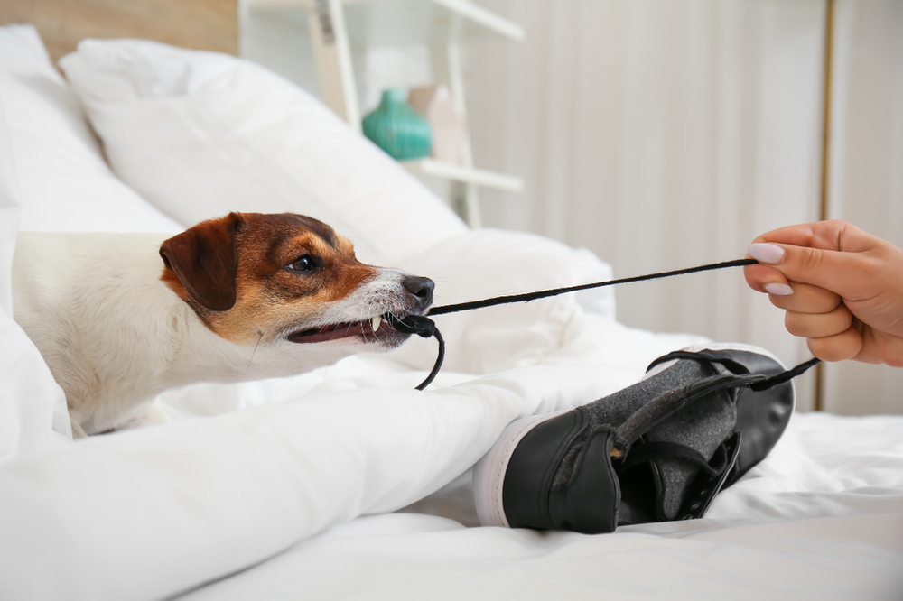 The 5 Essential Pairs of Shoes You Need for Your Cruise