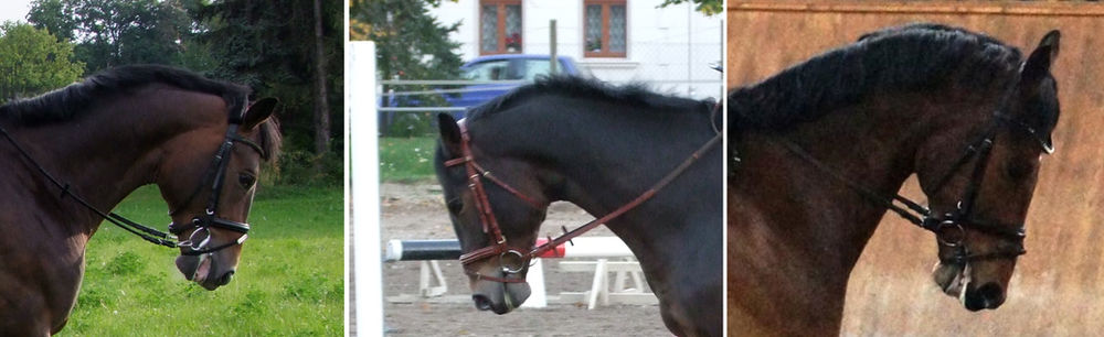 Falscher Knick im Genick