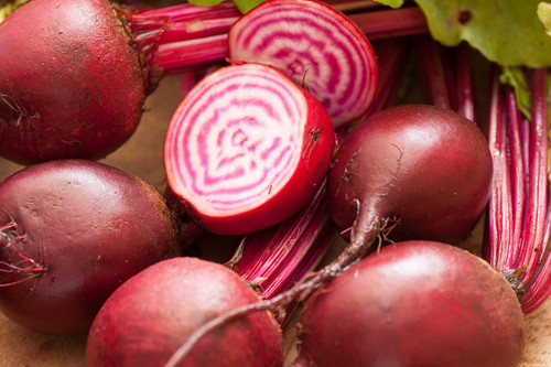 Candy-Stripe Beets (Mexico) (5 lb) | Bandwagon Brokerage