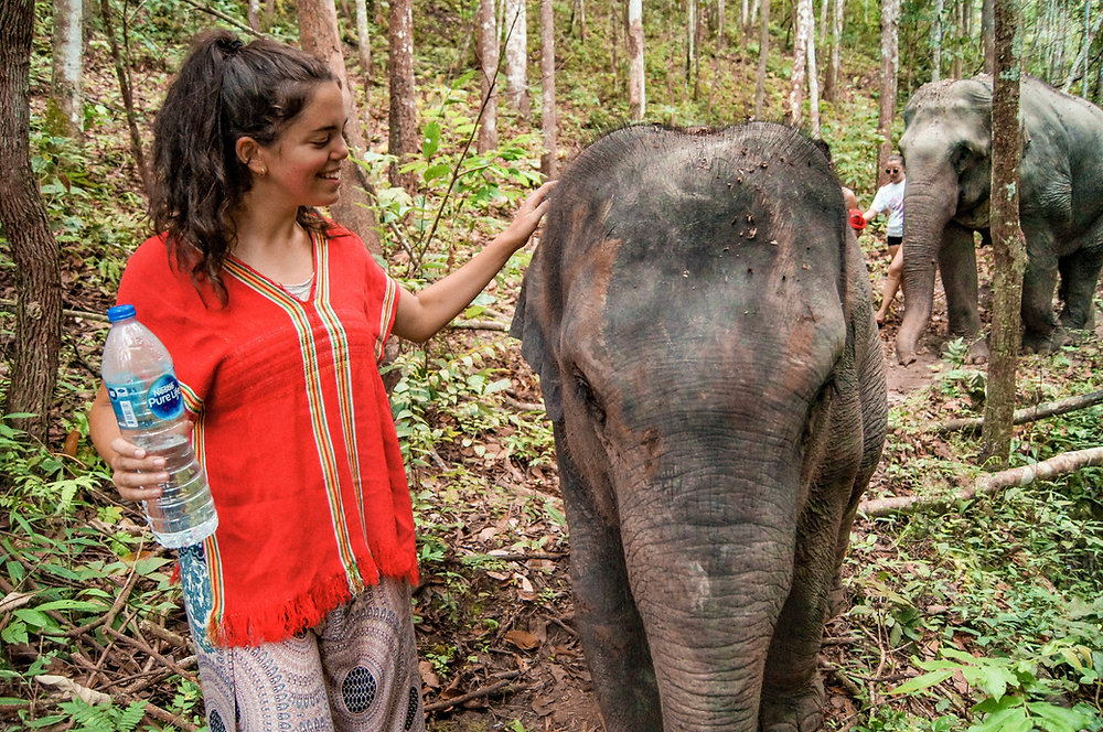 The Elephant In The Room: A Day At An Elephant Sanctuary