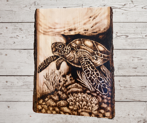 Sea Turtle Wood Burning | Jj Cox Ministries