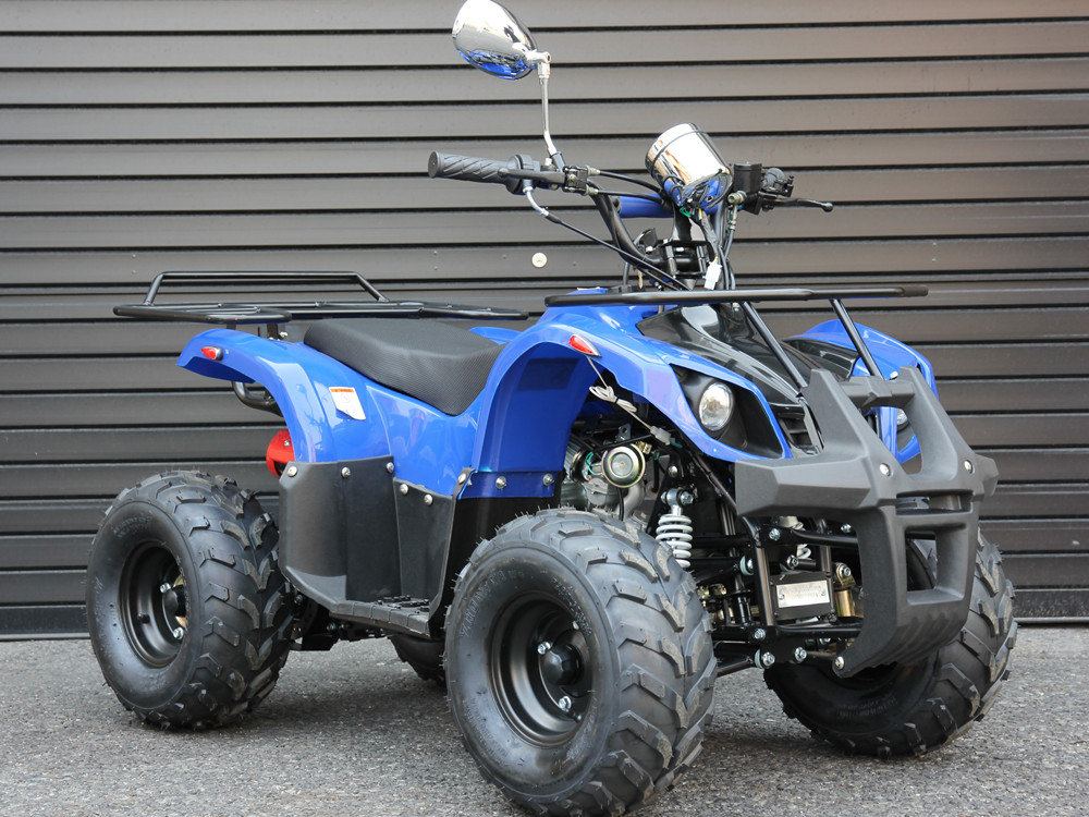 Small OX - 110cc Gas Quad BikeGas and electric ATVs for youth and adults