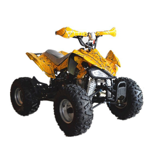 49cc Gas Mini ATV Quad Bike: Full Suspension for Kids with Reverse ...