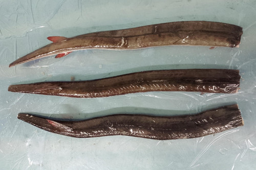 Cornet fish - Pez Corneta | FoodSmart-Group