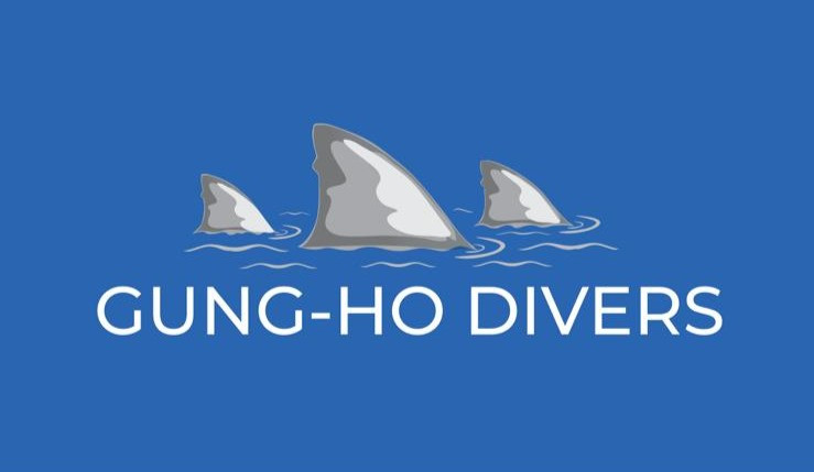 Book Shark Dive in Palm Beach - Gung-Ho Divers Book Shark Dive in Palm Beach - Gung-Ho Divers