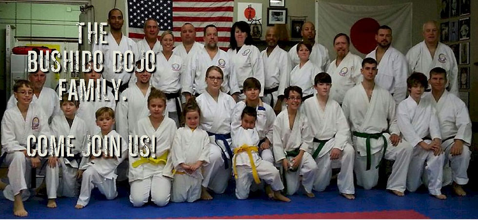 Home | Bushido Dojo Joelton