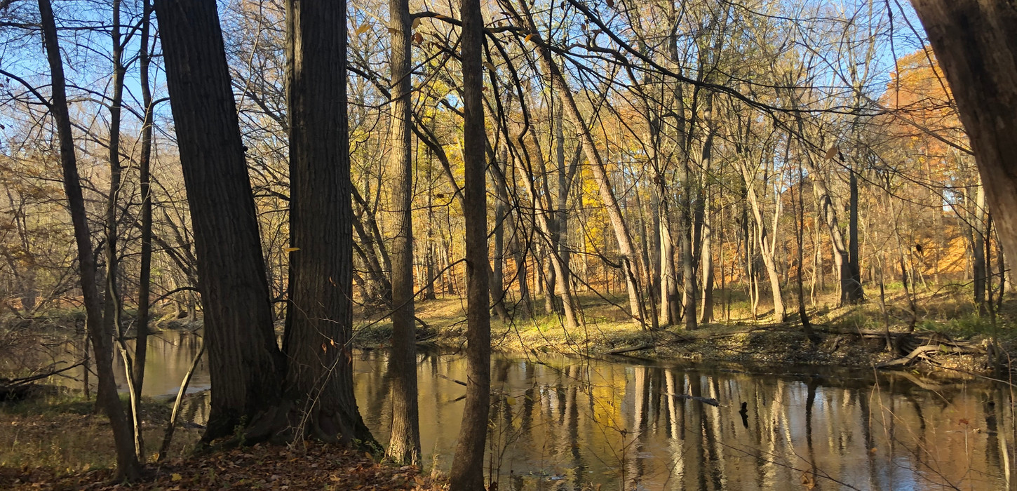 HOME | Red Cedar River