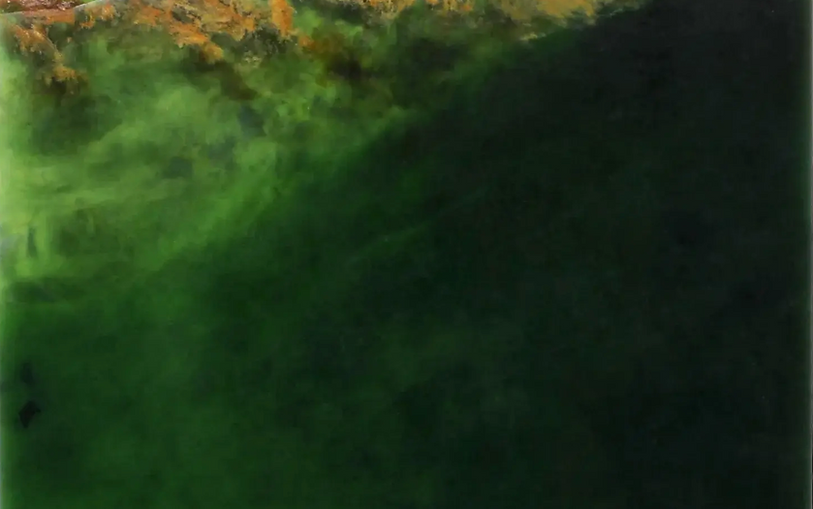 TP Illustration and Design | Netana Te Pou