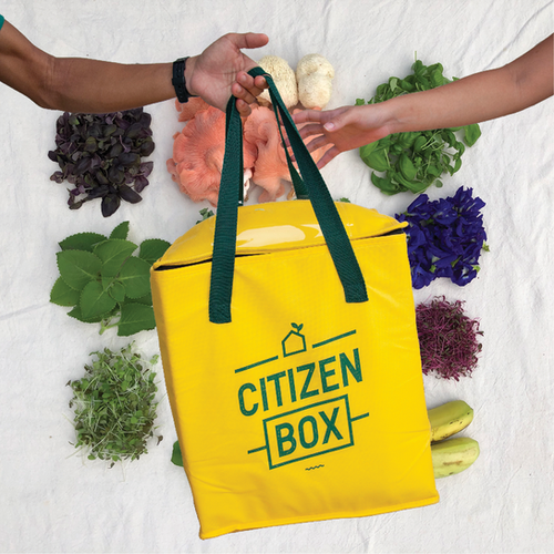 Citizen Box Subscription (8 Week Subscription) | ediblegardencity