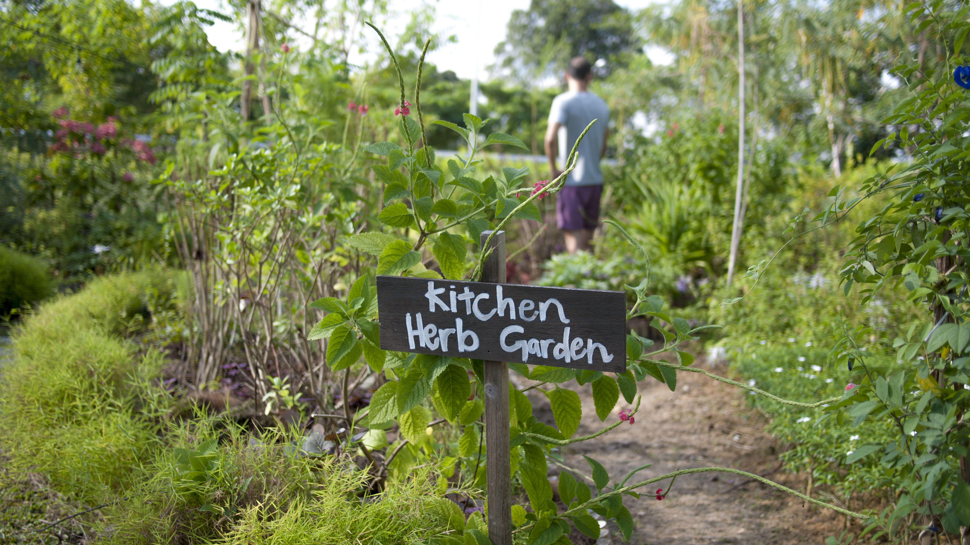 FOODSCAPE | ediblegardencity