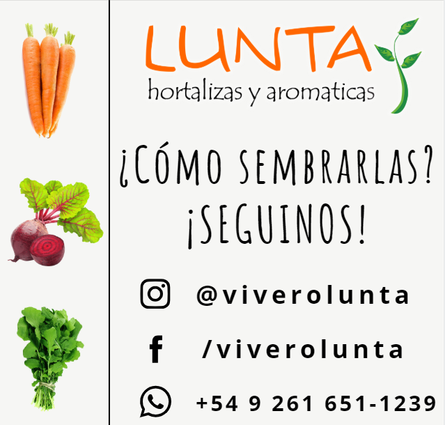 Hortalizas Y Aromáticas | Vivero LUNTA | Departamento Maipú