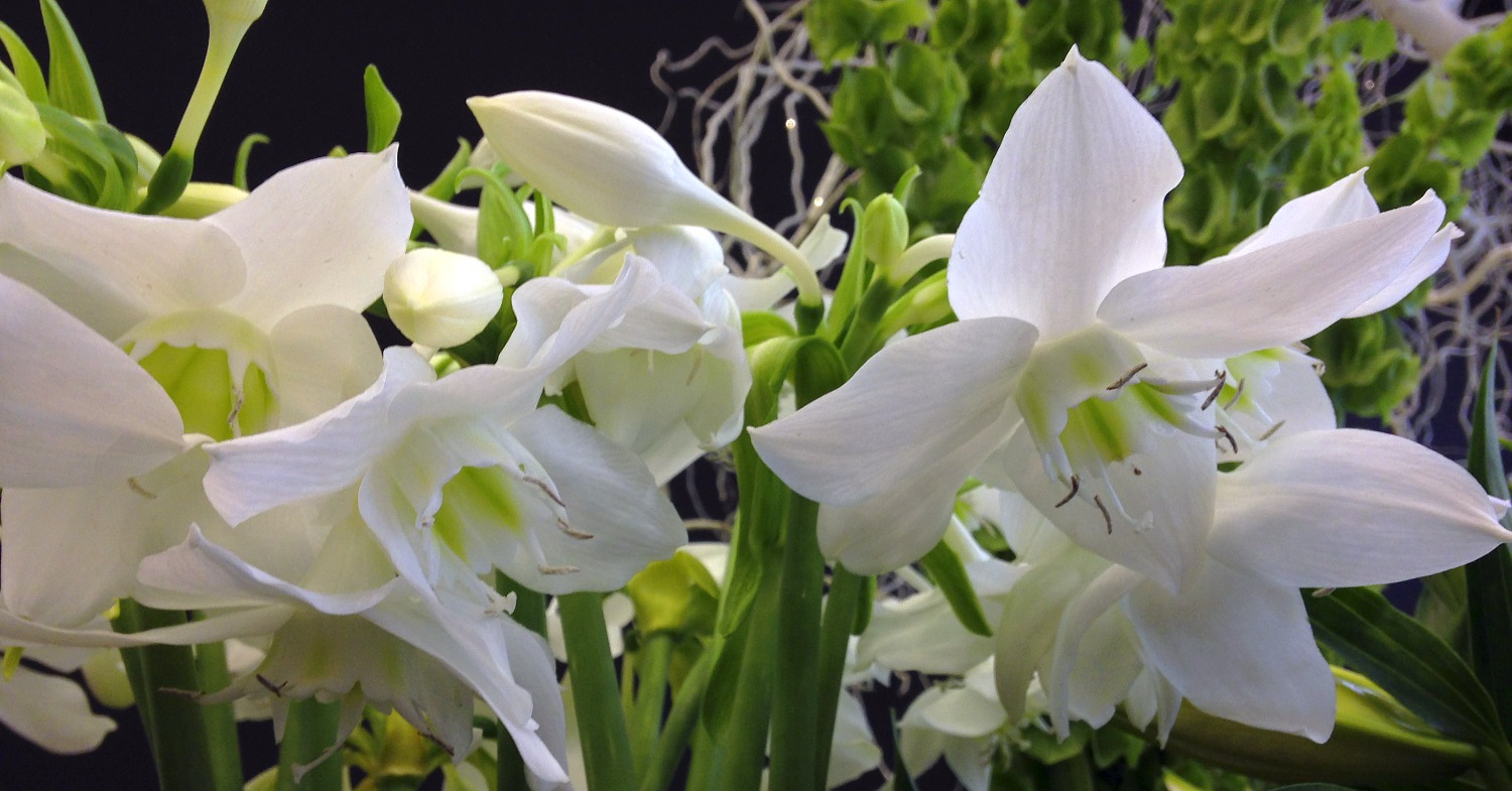 Un Lieu de Prestige | fleurs-de-prestige