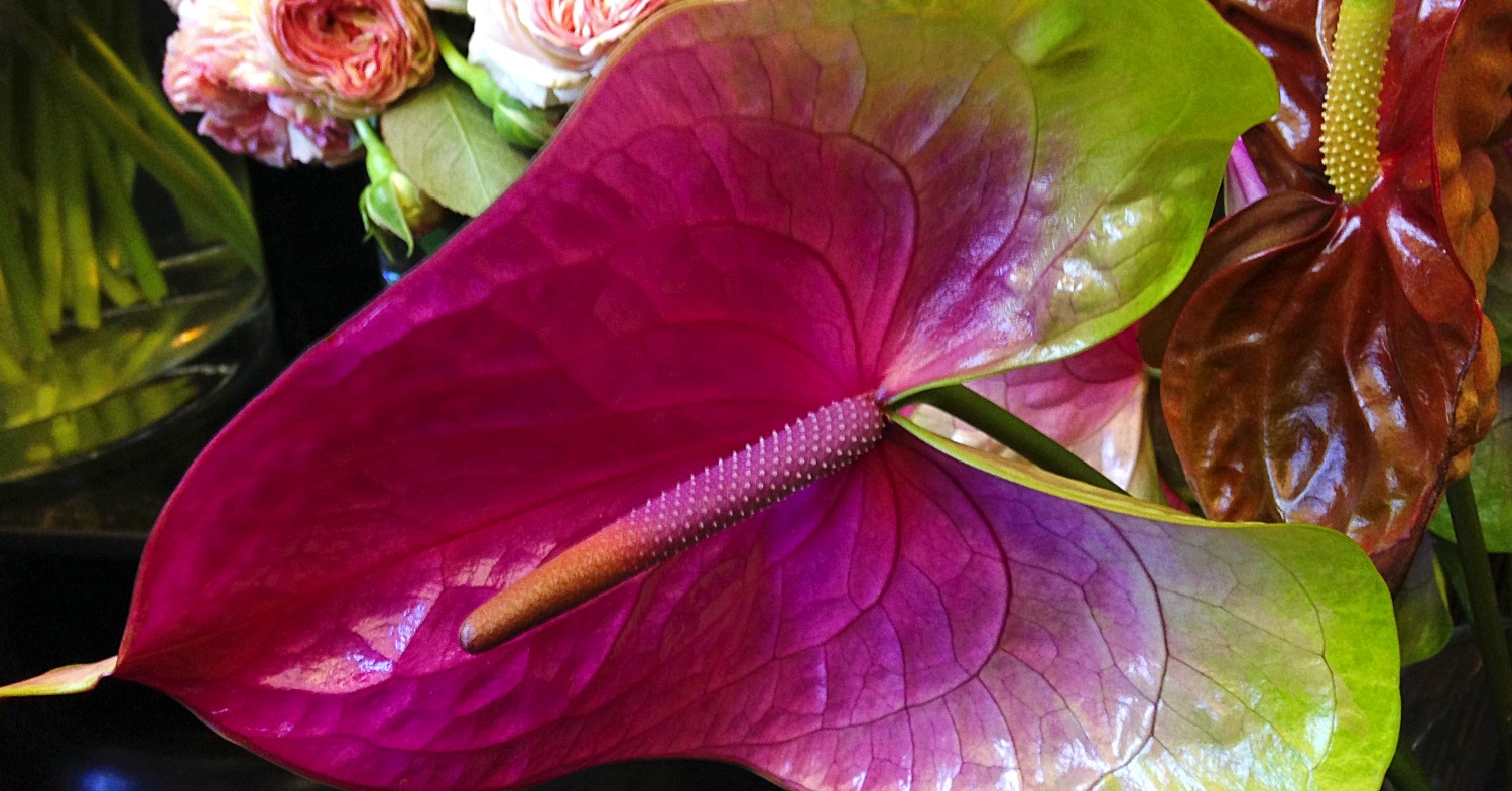 Un Lieu de Prestige | fleurs-de-prestige