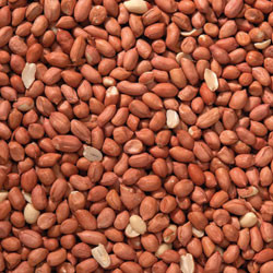 Peanuts 25kg | petdeliashbydotcom