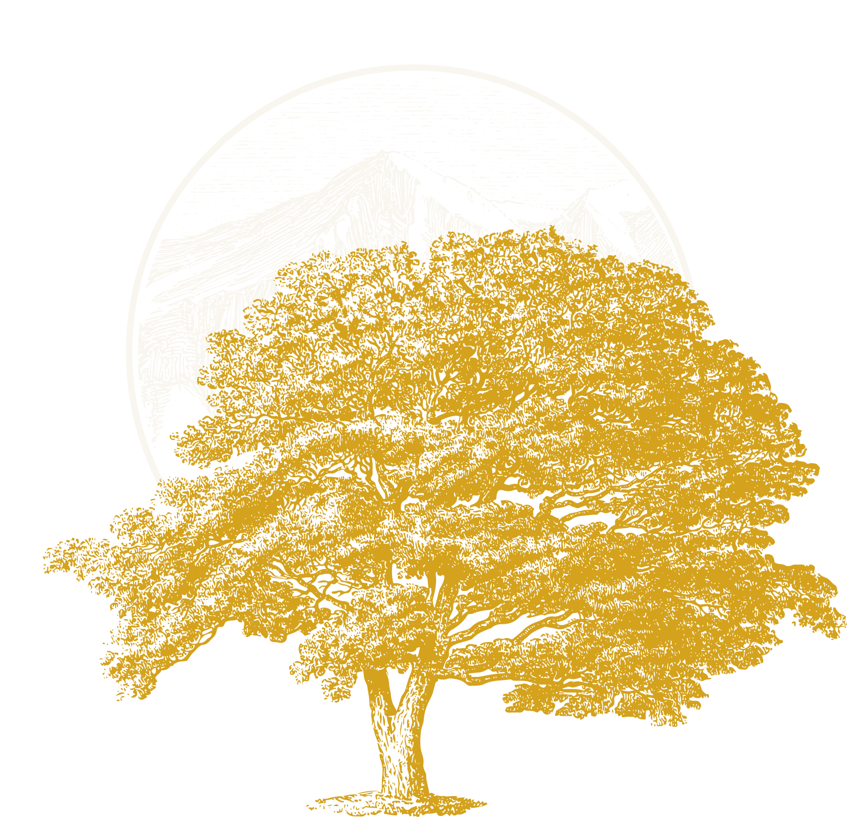 Elaborate Tree Tender | Complete Professional Tree Care Services ...