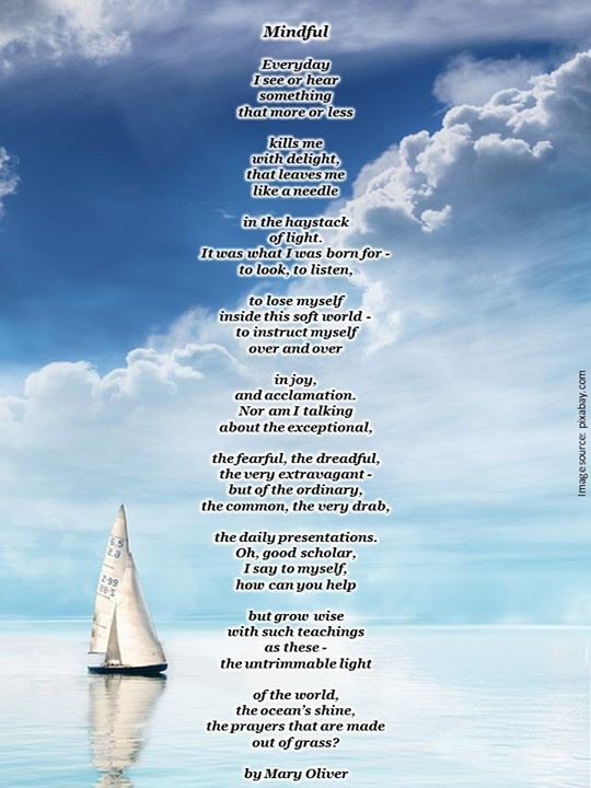 Mindfulness, Mary Oliver & Beginner's Mind