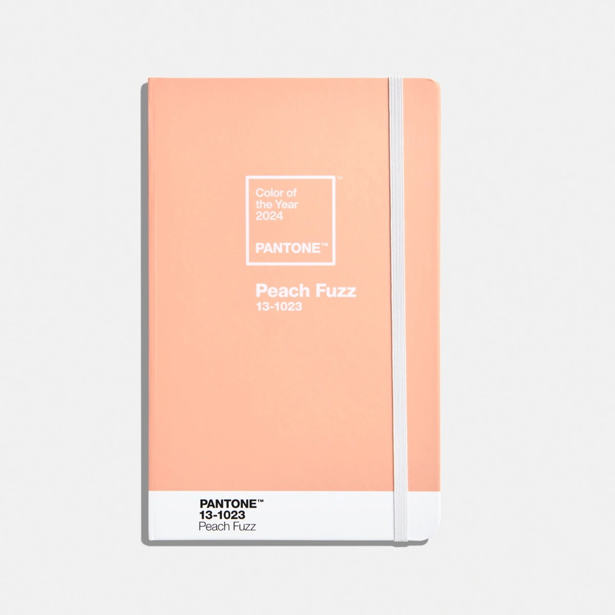 Peach Fuzz: The Pantone Colour Of The Year'24