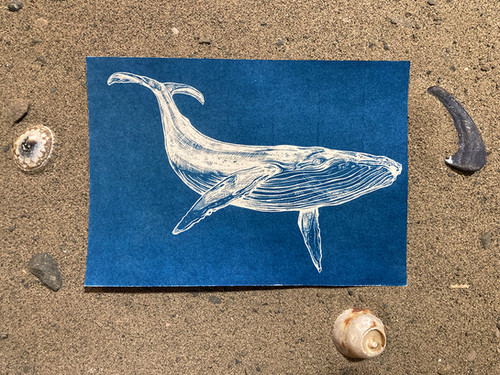 Sea Creatures & Mer-Folk | Cyan Art Studio