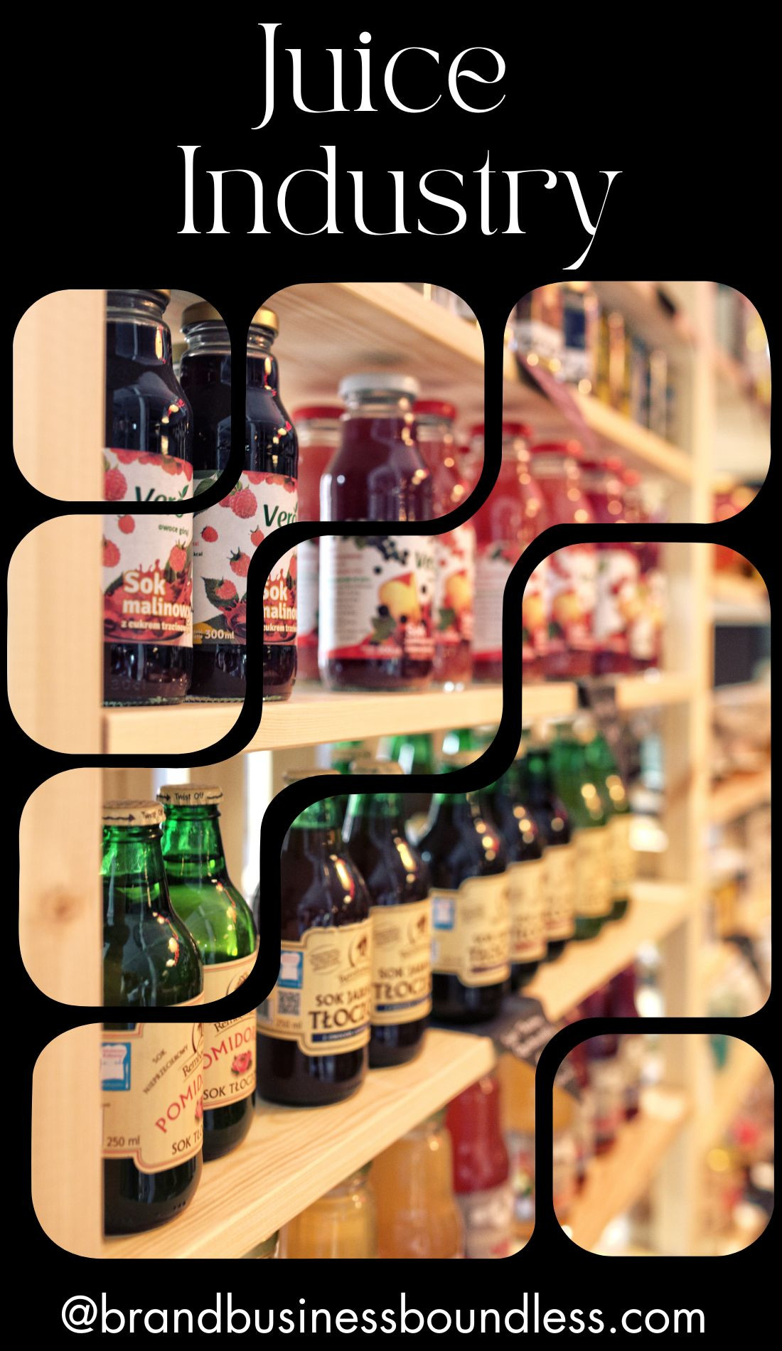Ultimate Juice Business Blueprint for Running and Growing a Successful ...
