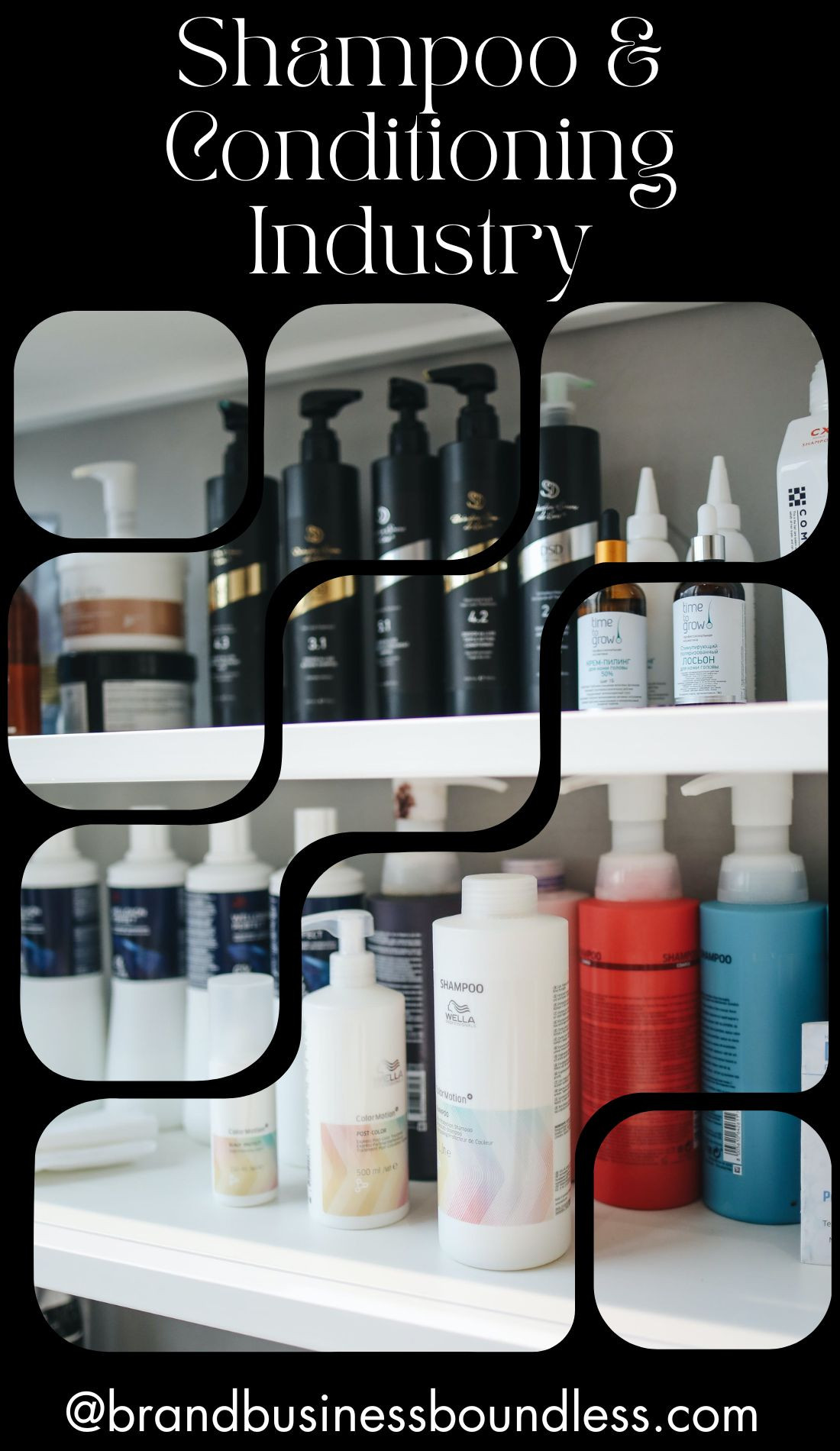 Ultimate Shampoo & conditioning Business Blueprint for Running and ...