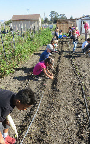 City Farm History | City Farm SLO