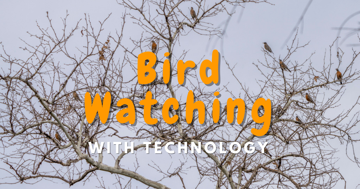 Birdwatching with Guaranteed Results