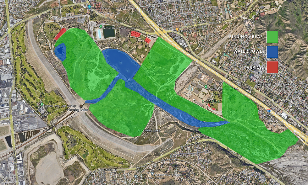 Birdwatching at Hansen Dam Nature Preserve