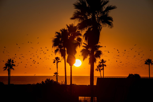 Carlsbad coast sunset | America geographic