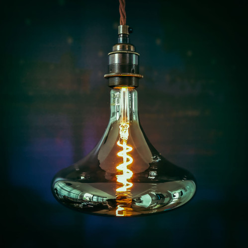 Dark Tinted Oversized Bulb Unconventional Design Spiral Filament LED ...
