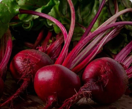 Beetroot - 'Detroit 2 Crimson Globe' | Oxford Eco Garden
