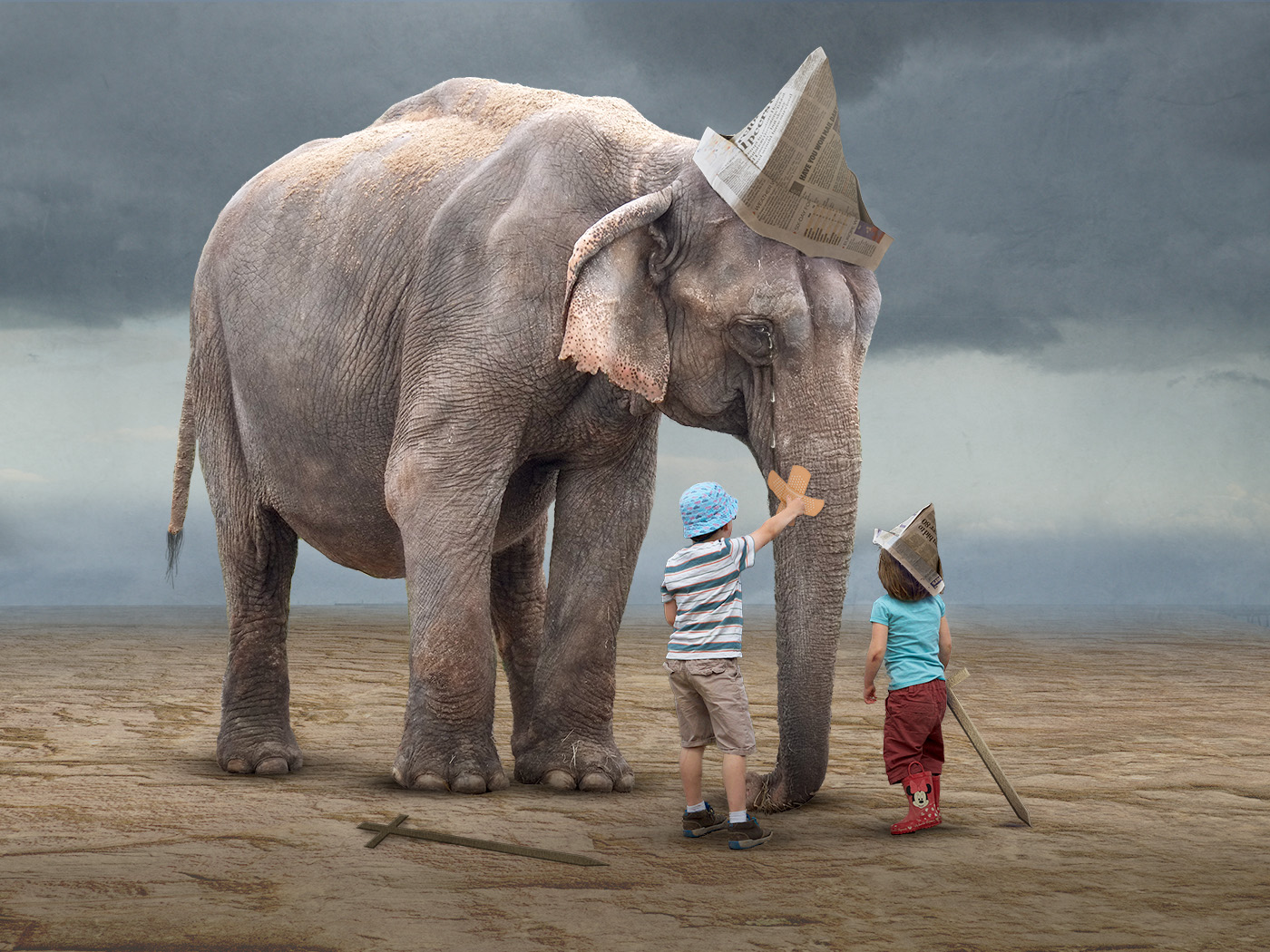 People, Portraits and Pachyderms by Adrian Lines – Photocraft Camera ...
