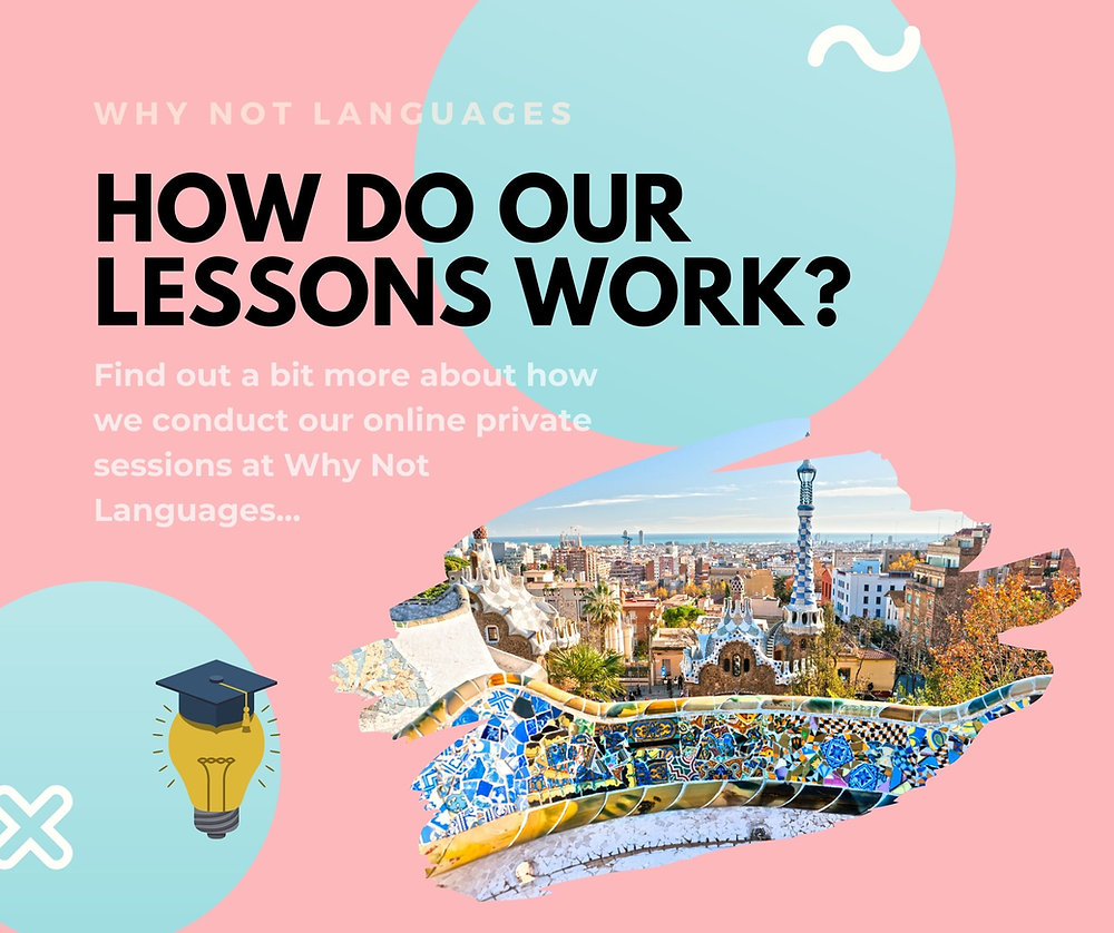 How Do Our Lessons Work?