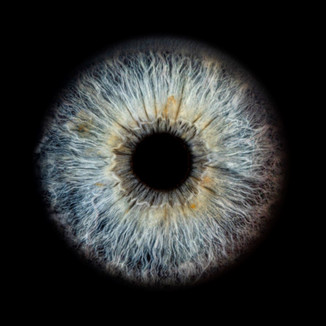 iris fotografie | luzern | bern | zürich | chur | basel | aargau ...