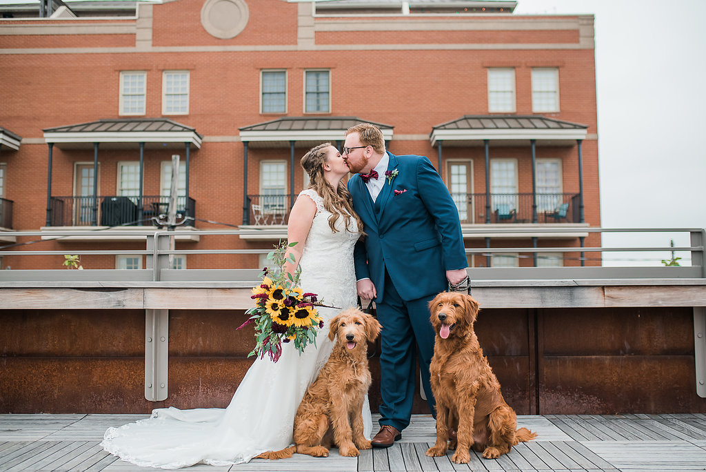 Pineapple Processions | HOME
