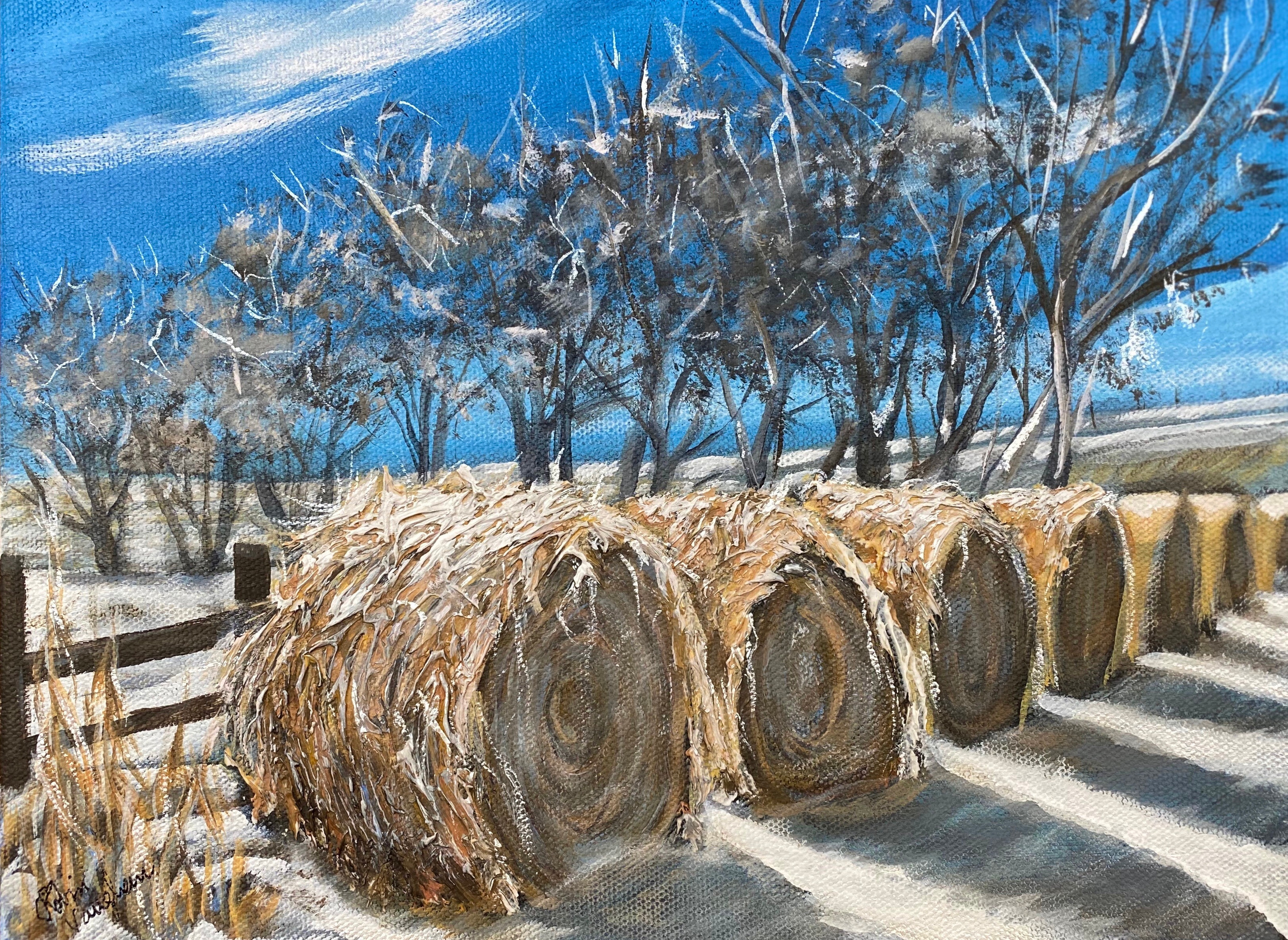 Robin Vaughan | Art Sux Gallery | Sioux City, Iowa